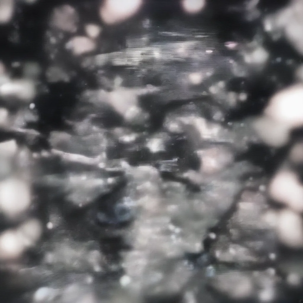 Understanding the Wizard Plus SV Miniprep DNA System